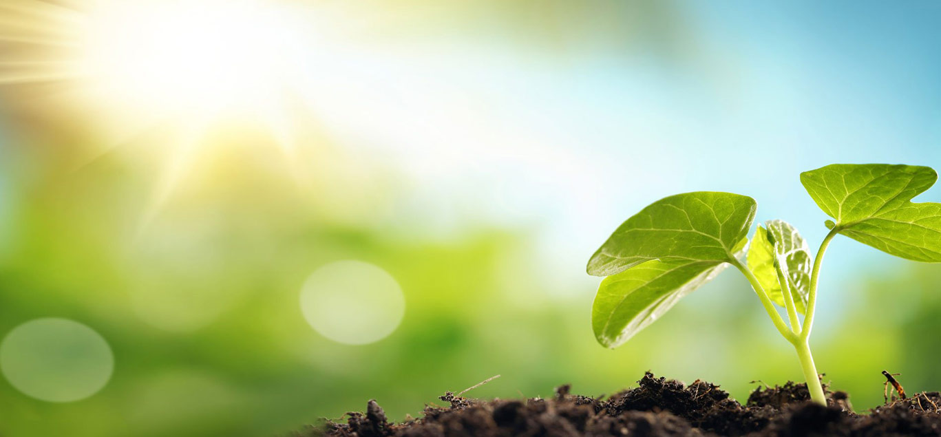 Central U.P. Gas Limited (CUGL) welcomes you.